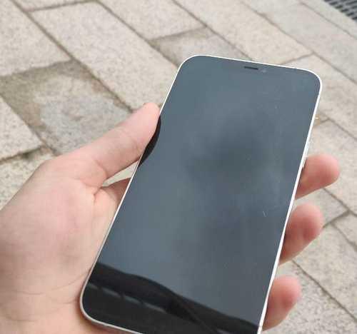 iPhone 12 Pro Max, 256 ГБ