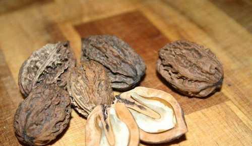 Маньчжурский орех семена
