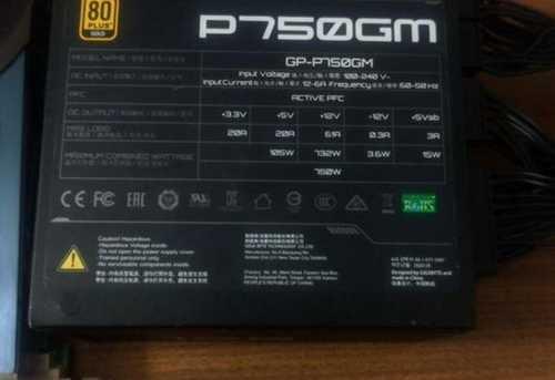 Gigabyte GP-P750GM