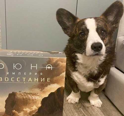 Дюна восстание Dune uprising