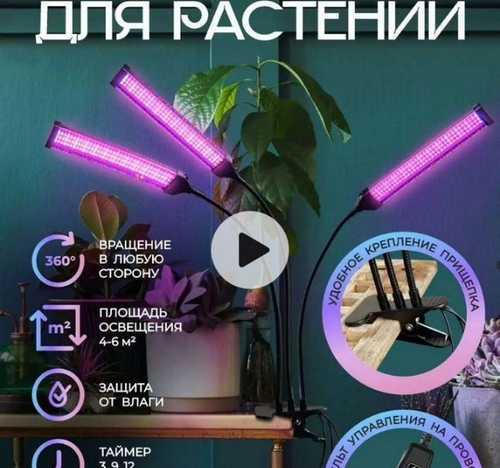 Фито лампа для растений