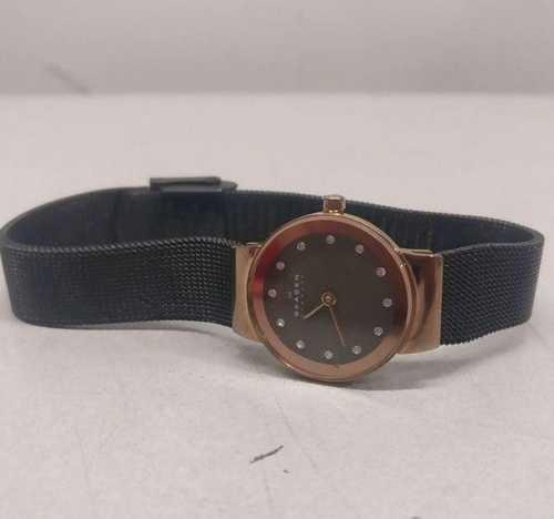 Наручные часы Skagen 358xsrm 358xsrm