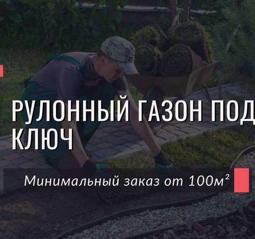 Продажа рулонного газона под ключ