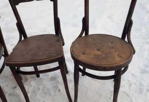 Стулья венские thonet Чехославакияп