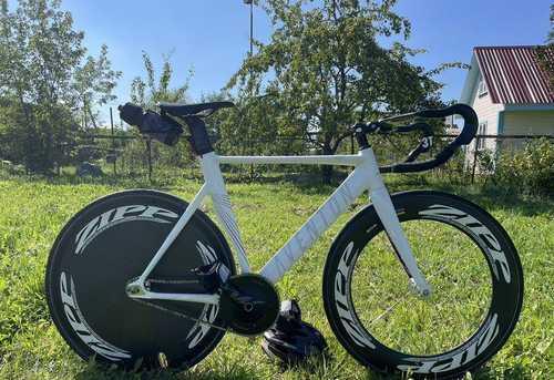 Aventon mataro