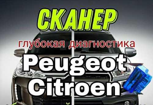 Сканер FAP Peugeot Citroen + Программа + Обучение