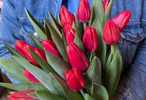 Тюльпаны в розницу к 14 февраля 8 марта