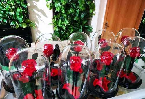 Роза в колбе Цветы букеты подарки декор, арт25, от