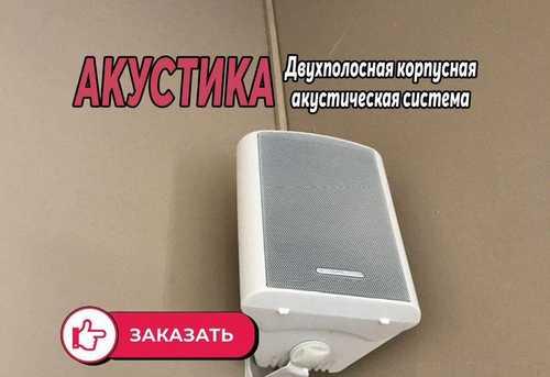 Настенные колонки cvgaudio NF5TW