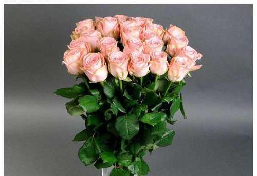 Цветы розы с доставкой 25 51 101 501 опт