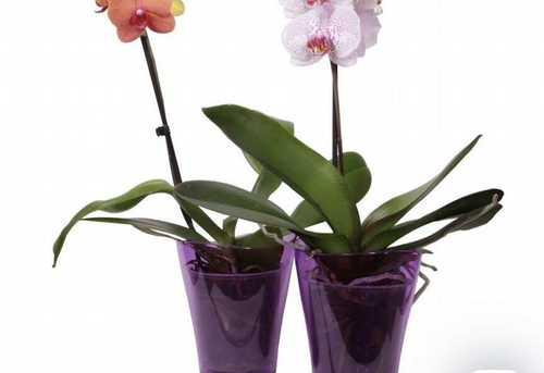 Горшок для орхидеи (2шт)
