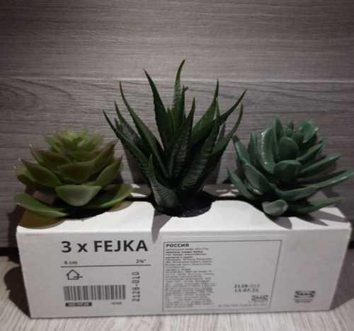 Fejka IKEA искусственные растения суккуленты