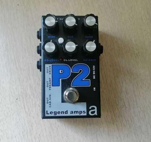 AMT P-2 Legend Amps 2