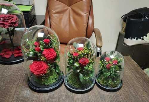 Букеты цветы в колбе, флорариум подарок, арт67, от