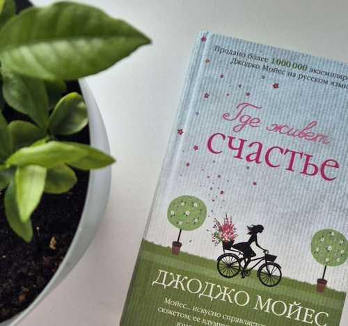 Где живёт счастье книга