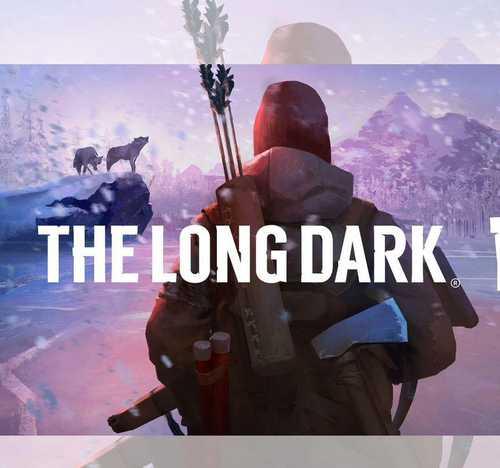 The Long Dark PS4/PS5