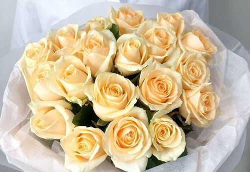 19 Кремовых роз, букеты цветов Самара