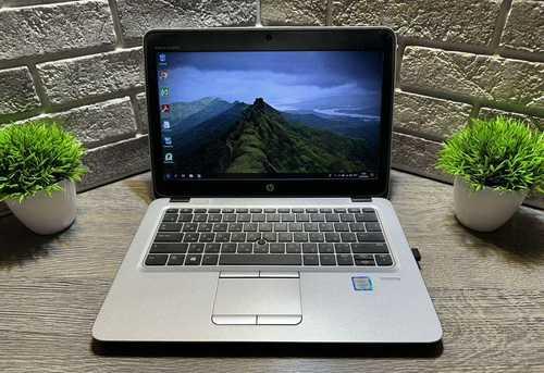 12.5" HP EliteBook 820 G3, 128 ГБ, Core i3-6100U, RAM 8 ГБ, Intel HD Graphics 520