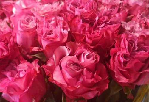 Цветы пионовидные Розы Доставка Ставрополь