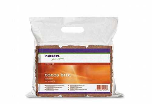 Plagron Coco Brix Blocks pack 6