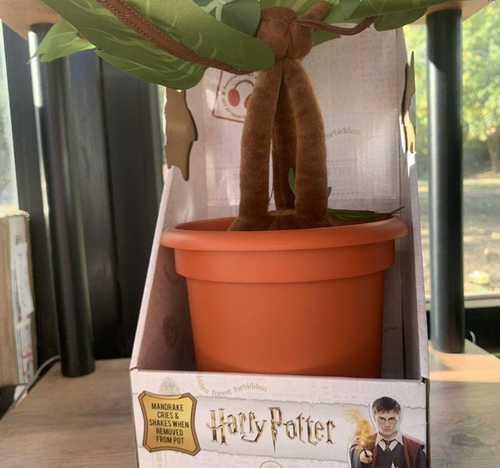 Орущий корень мандрагора Harry Potter