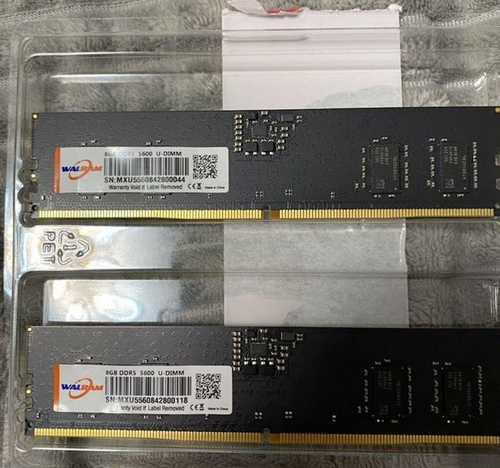 Оперативная память ddr5 16gb 5600