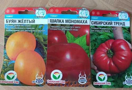 Рассада помидоров томатов