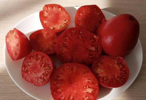Семена томат помидор