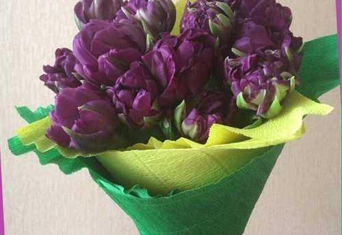 Потрясающие тюльпаны к 8 марта