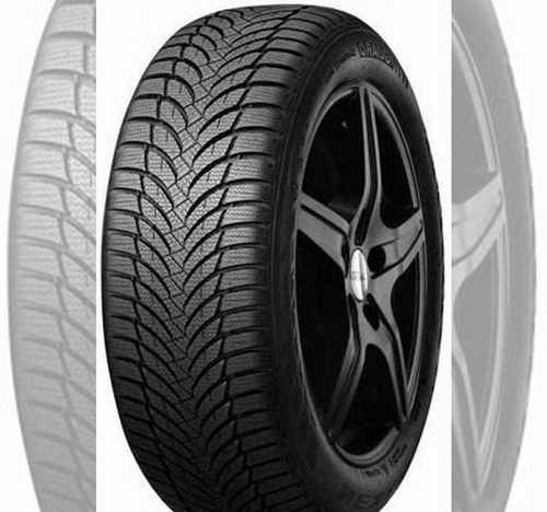 Roadstone Winguard Snow'G WH2 205/60 R16 92H