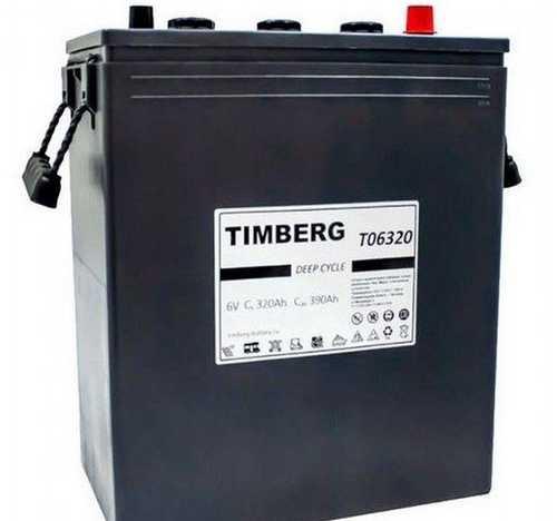 Аккумулятор тяговый Timberg T06320