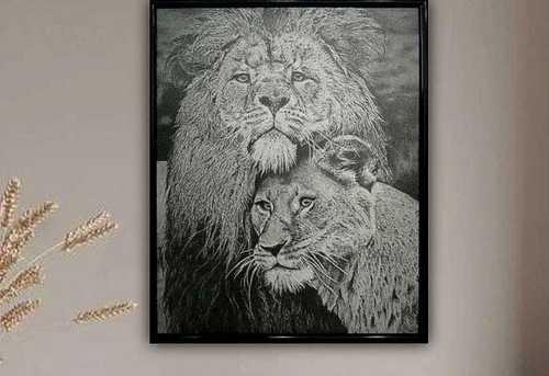 Картина "Львы" карандашом в раме