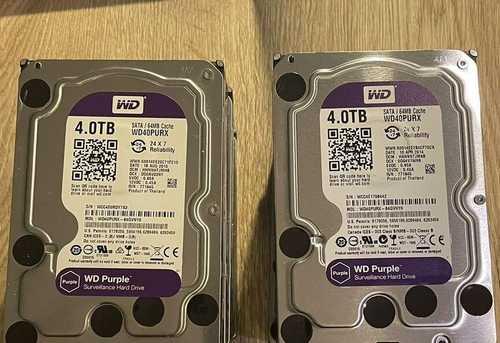 Hdd wd purple 4gb