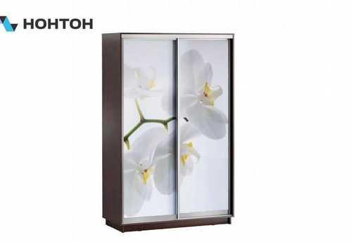 Шкаф-купе Лео 2-х дверный белая орхидея / венге