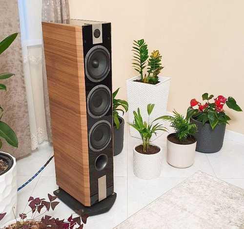 Focal chorus 826v