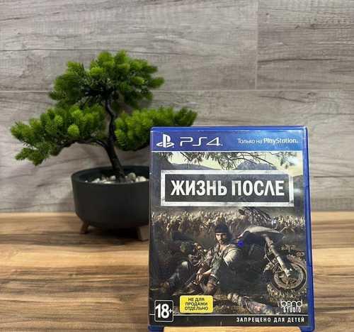 Жизнь после ps4