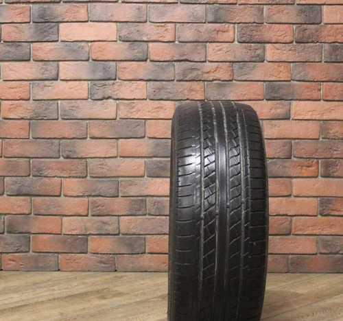 GT Radial Champiro VP1 195/55 R16