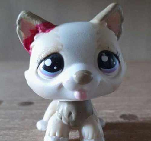 Littlest Pet Shop