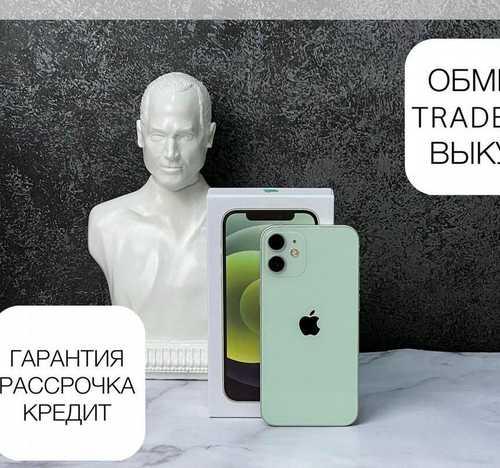 iPhone 12 mini, 256 ГБ