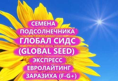 Семена подсолнечника Глобал Сидс Гибриды