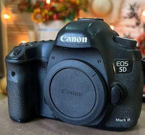 Canon 5D mark iii