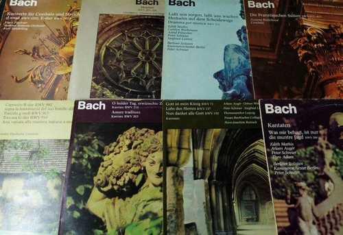 Бах Bach коллекция винила Германия