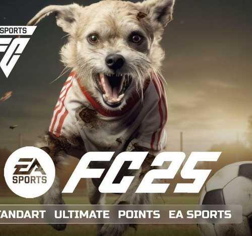 FC 25 FIFA 25 ultimate с контентом standart