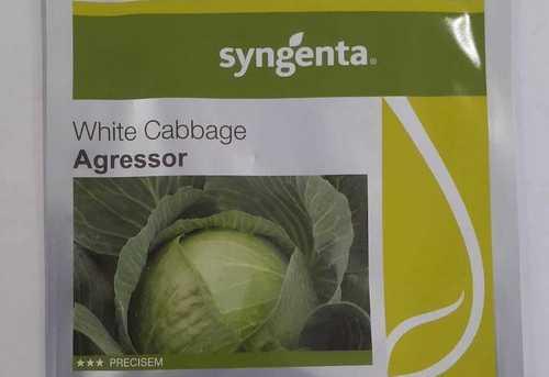 Семена капусты Агрессор syngenta