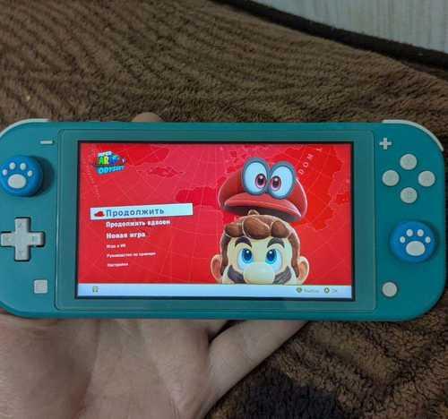 Nintendo switch lite