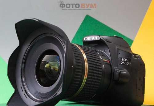 Canon 250D body + Tamron 10-24mm f3.5-4.5 Di II