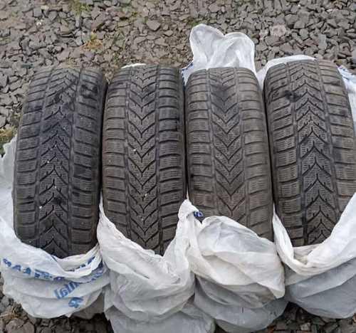 Vredestein IceTrac 195/65 R15