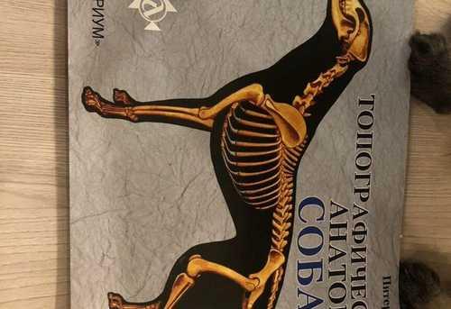 Топографическая анатомия собаки Питер К. Гуди