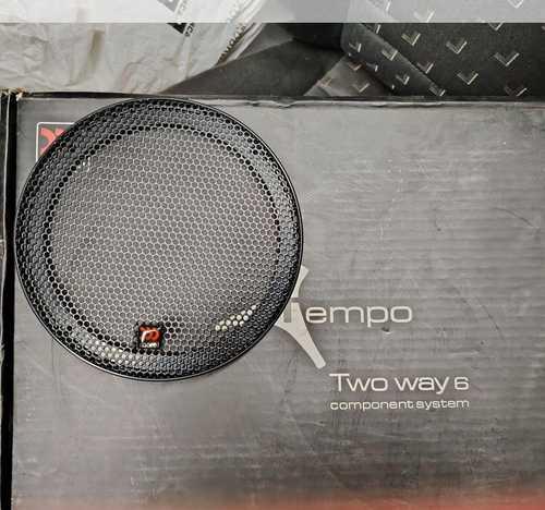 Morel Tempo 6