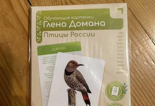 Обучающие карточки Глена Домана птицы России